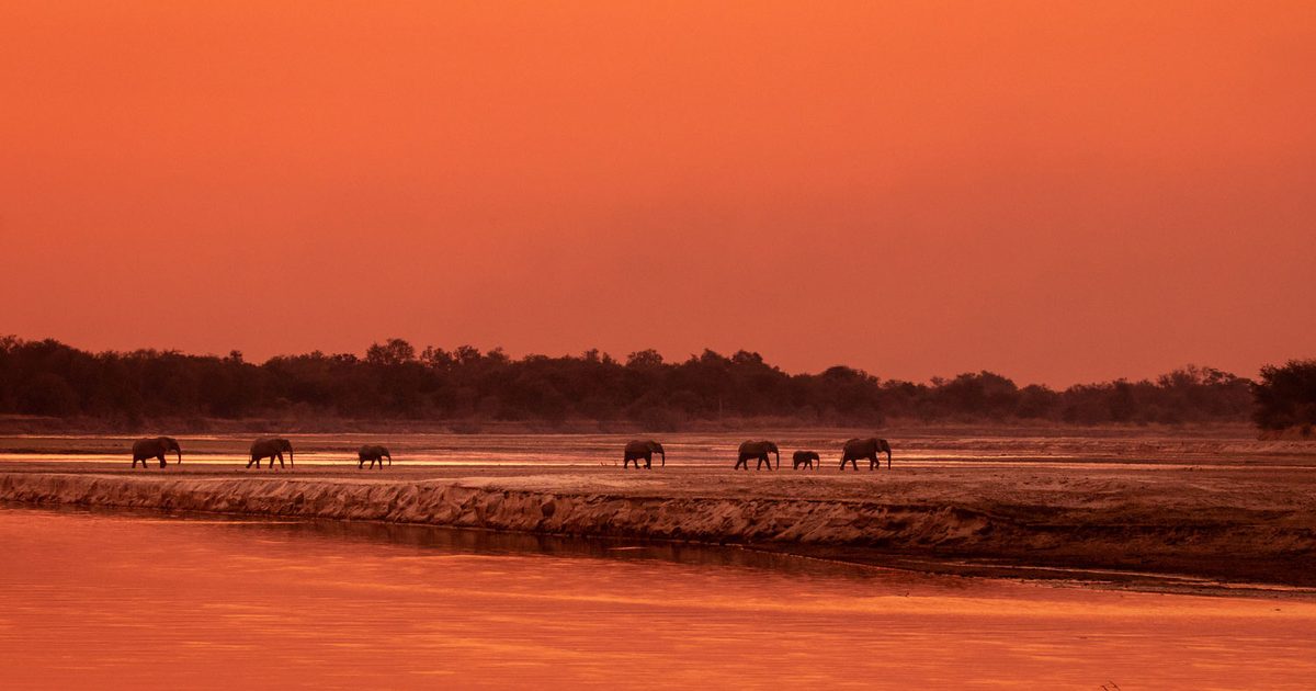 Our partner: Caring for Conservation - Conscious Explorer