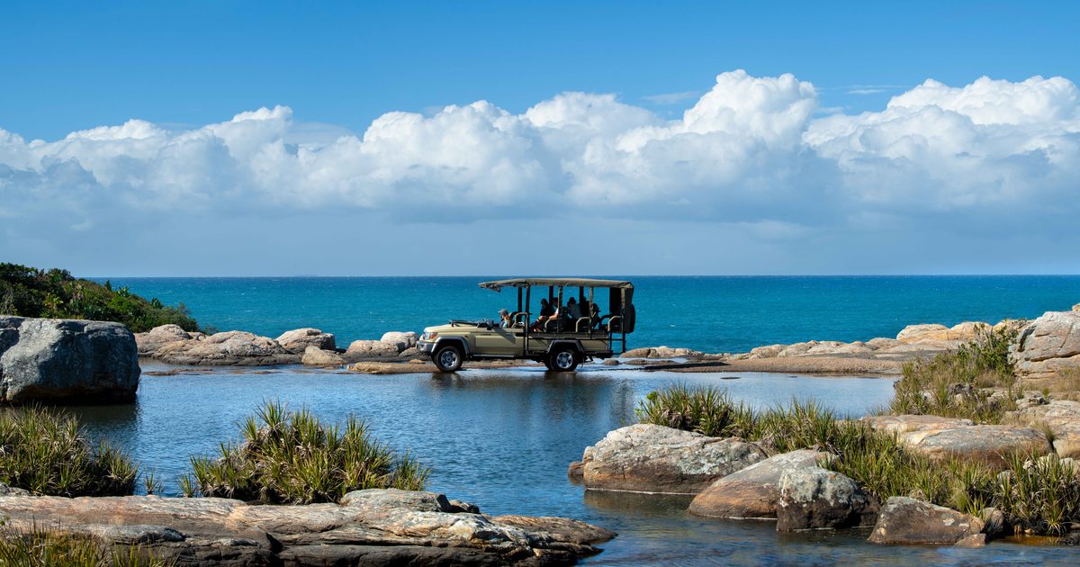 Our partner: Natural Selection - Conscious Explorer