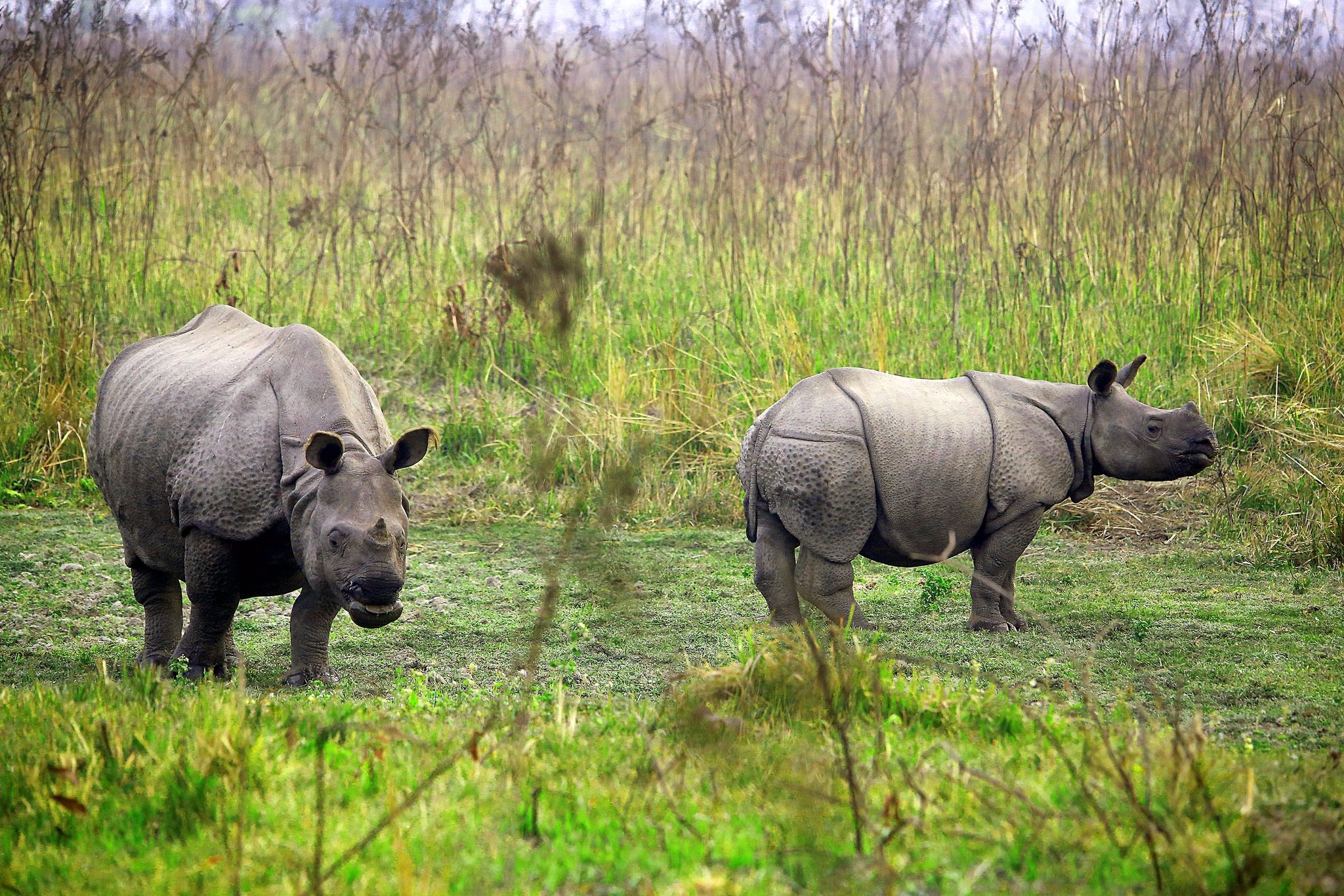 Nature travel Asia - Conscious Explorer