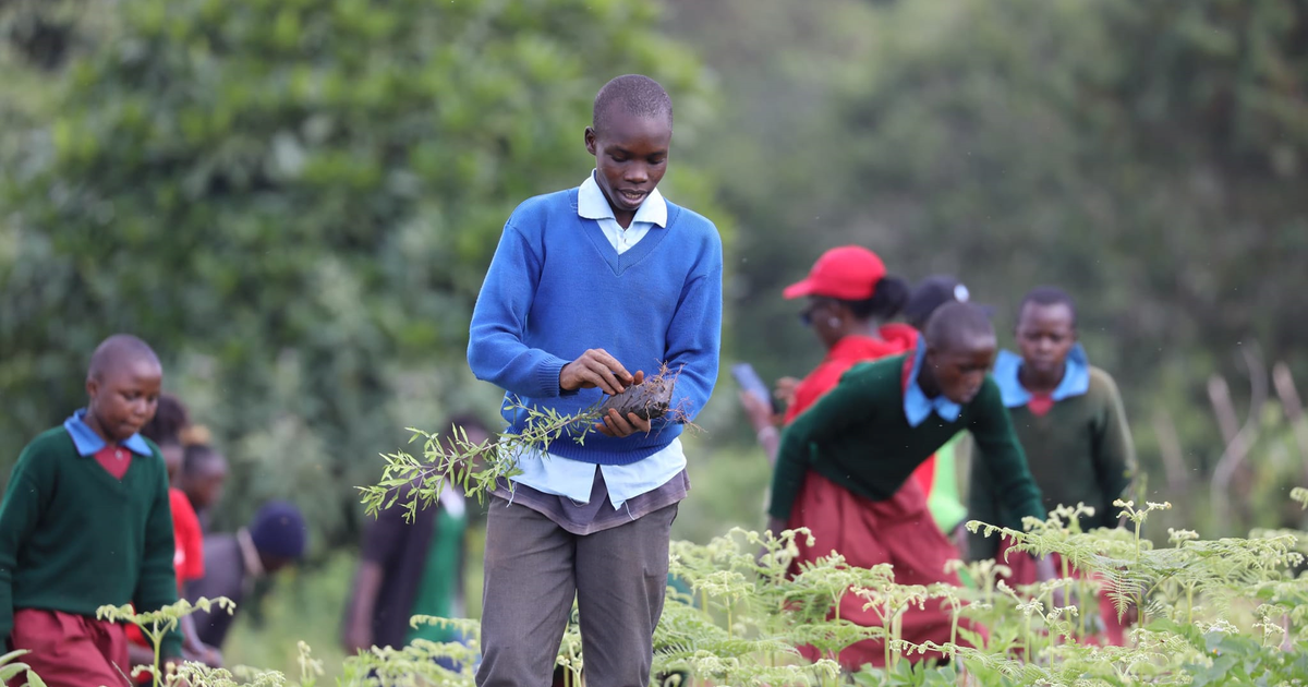 Our partner: Together4Trees Kenya - Conscious Explorer