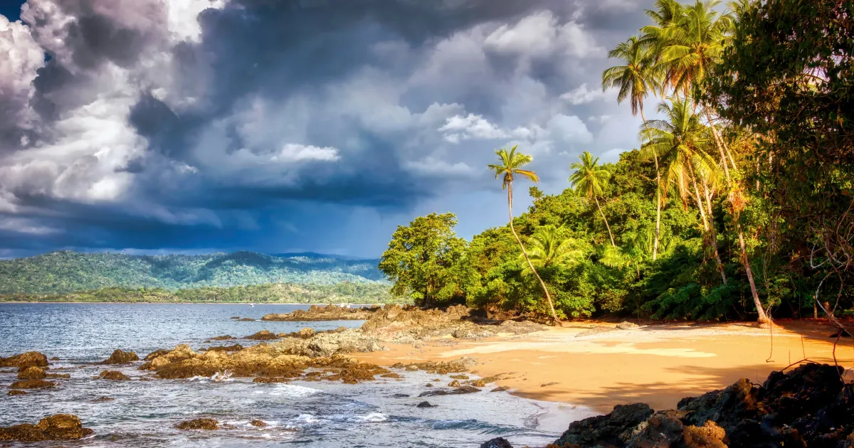 Die einzigartige Osa-Halbinsel - Conscious Explorer