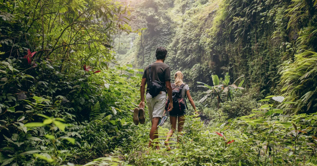 Magazine - Conscious Explorer