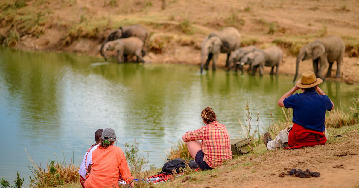 Our partner: The Safari Series - Conscious Explorer