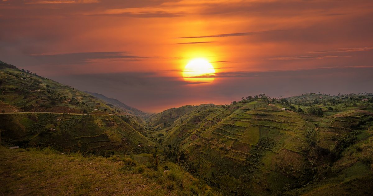 Volunteering Biodiversity, Uganda - Conscious Explorer