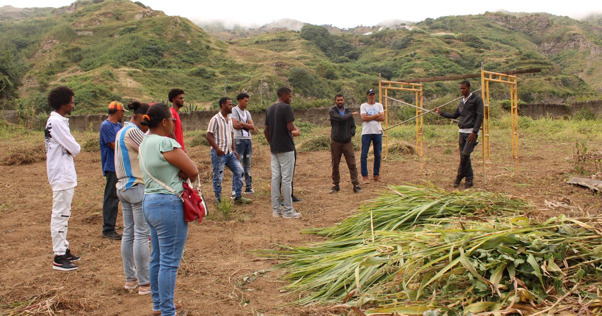 Our partner: Biflores - Conscious Explorer