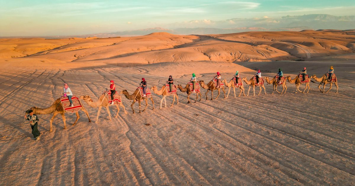 Our partner: Morocco Travel Organizer - Conscious Explorer