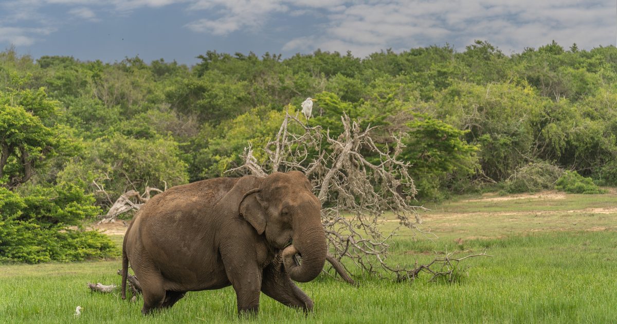 Building capacity for conservation - Conscious Explorer