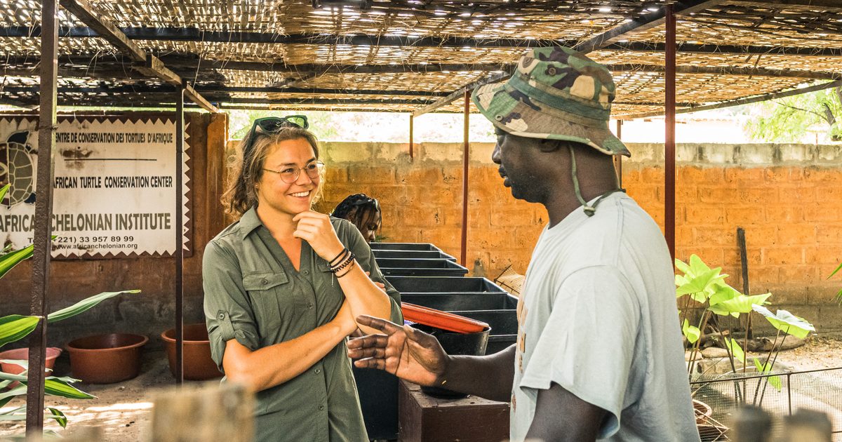 The philosophy of Ubuntu - Conscious Explorer